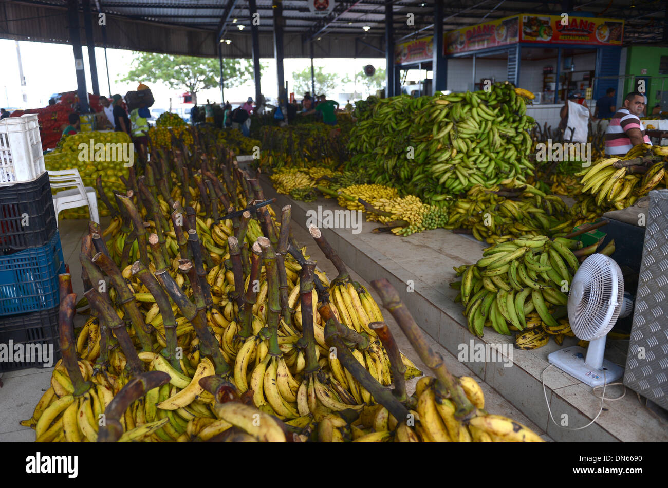 Men store cooking bananas at the banana market in Manaus, Brazil, 11 ...