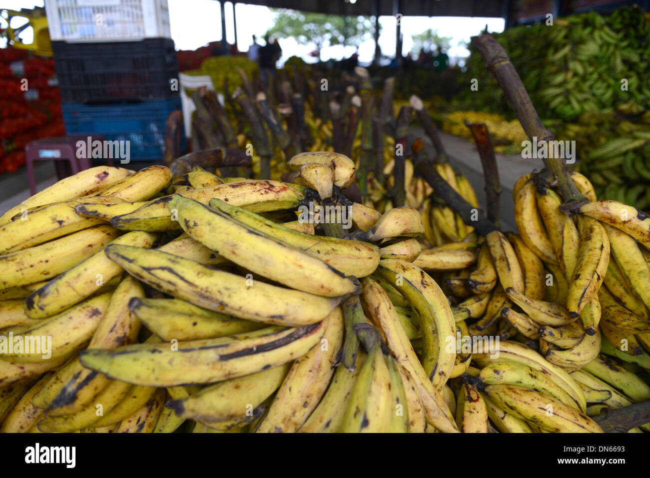 Bananas are stacked at the banana market in Manaus, Brazil, 11 December ...