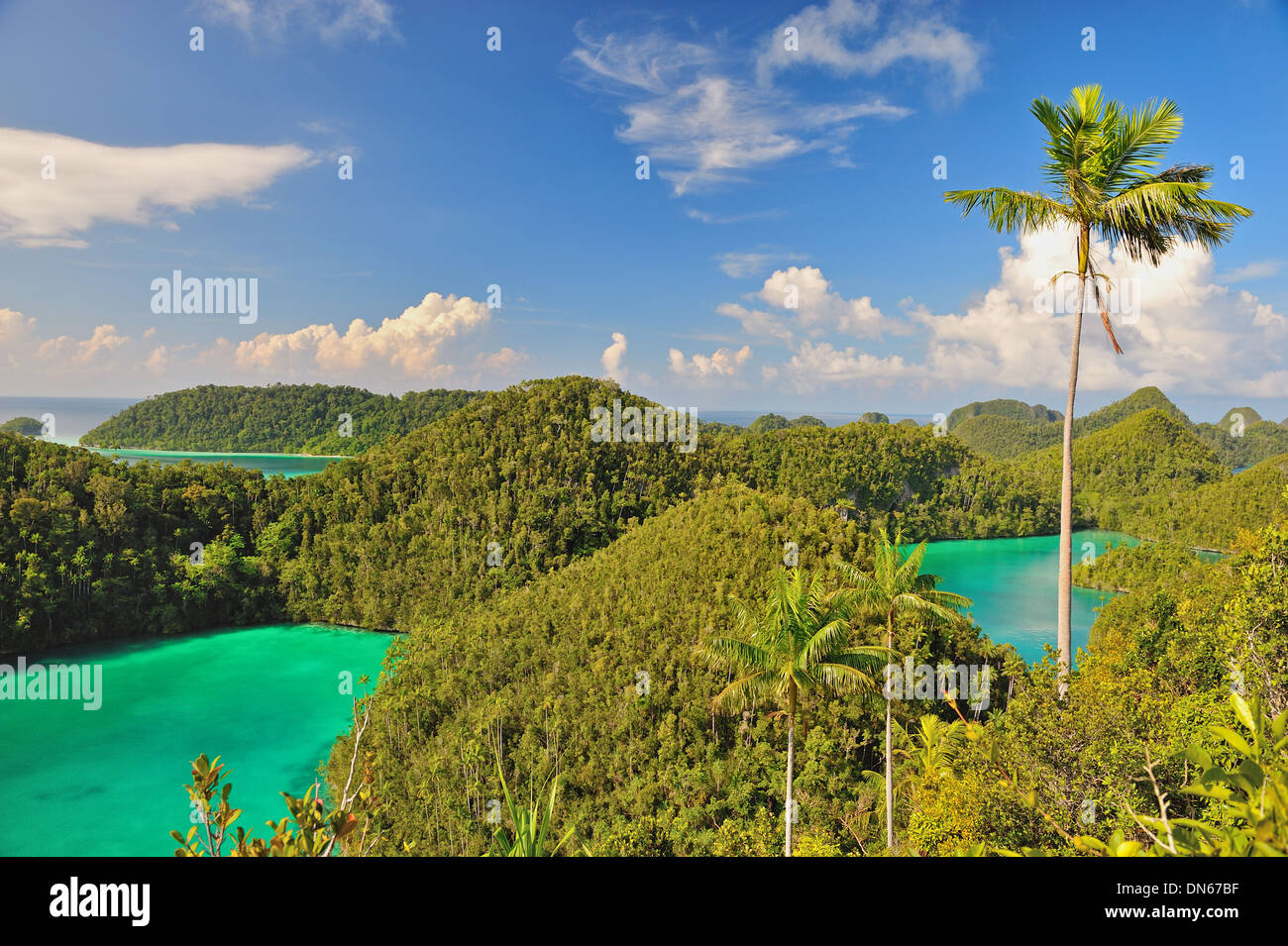 Beauty of Wayag island, Raja Ampat Stock Photo - Alamy