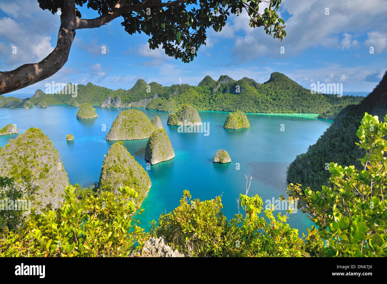 Wayag islands raja ampat hi-res stock photography and images - Alamy