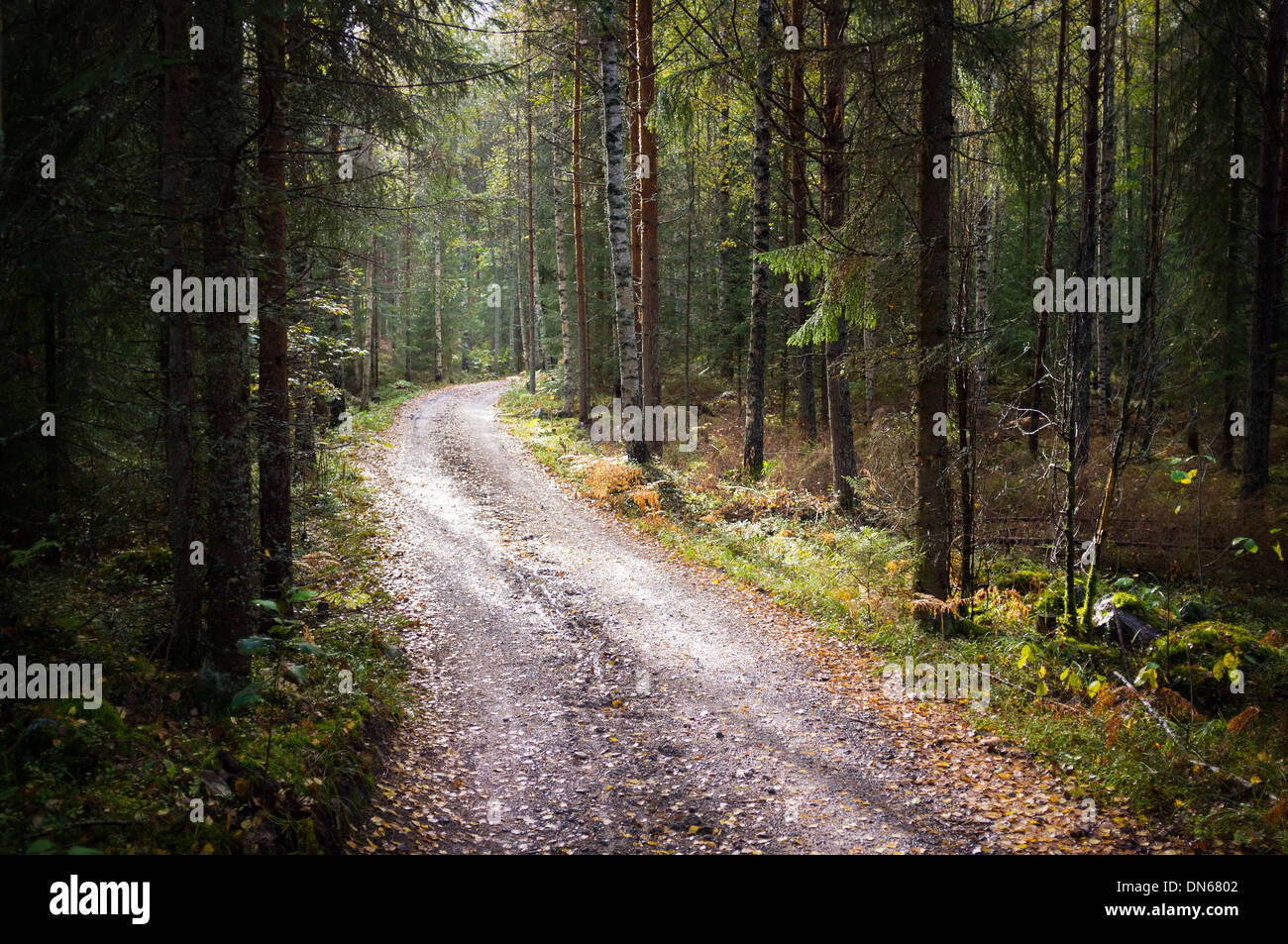 Dark road landscape hi-res stock photography and images - Alamy