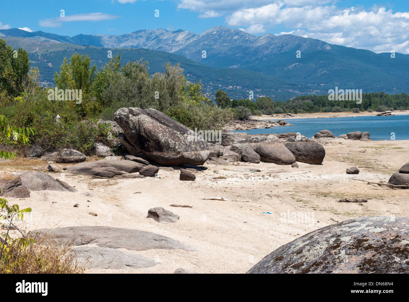 Swamp blue water large green hi-res stock photography and images - Alamy