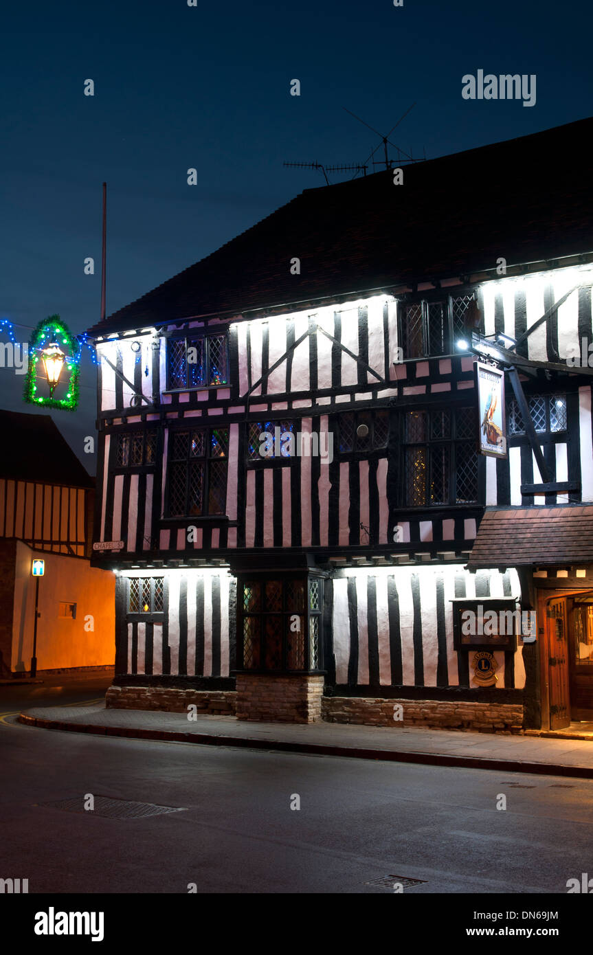 Night falcon hi-res stock photography and images - Alamy