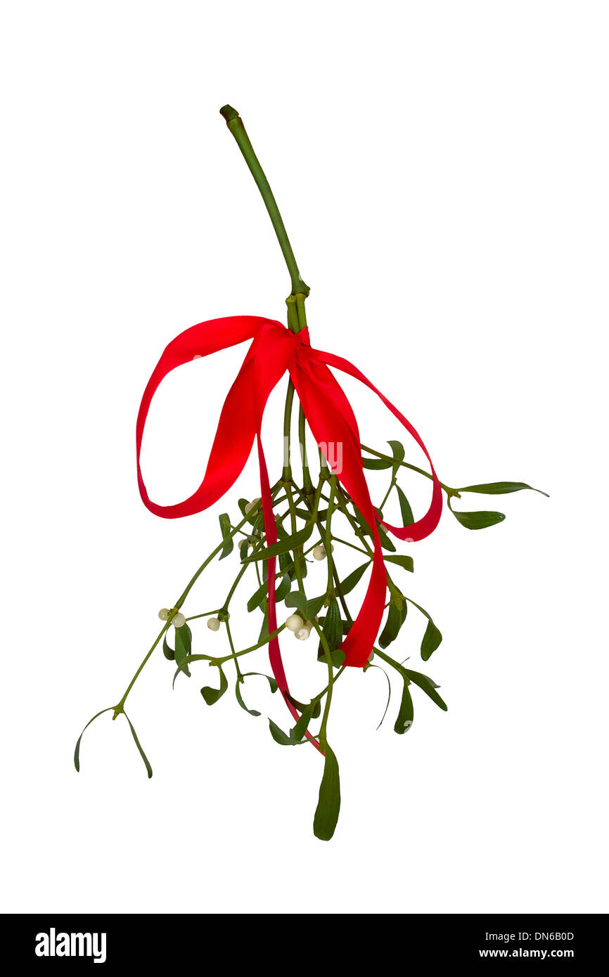 mistletoe's bunch with red ribbon on white background Stock Photo - Alamy