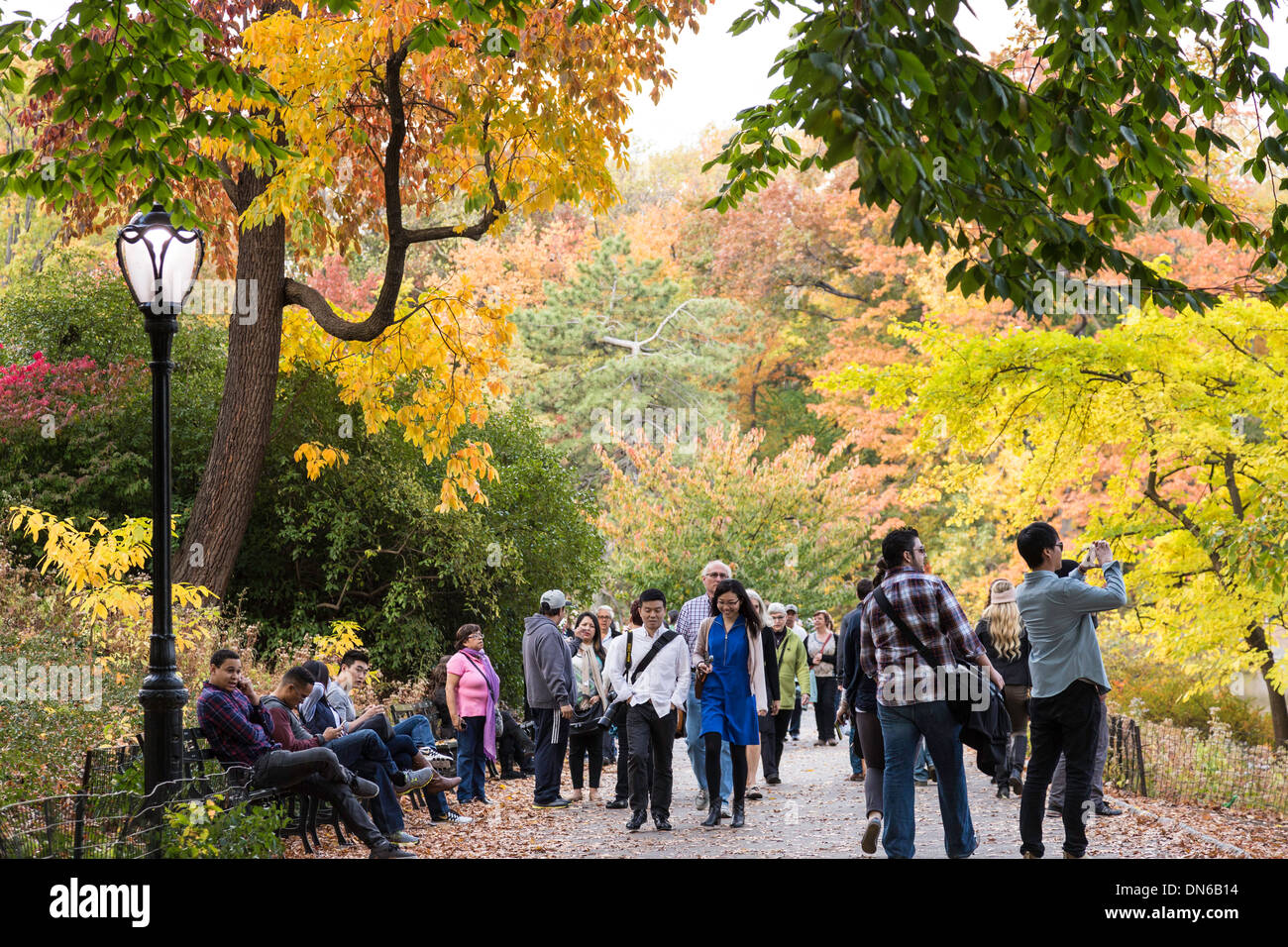 People Enjoying Fall Foliage while Walking in Central Park, NYC Stock ...