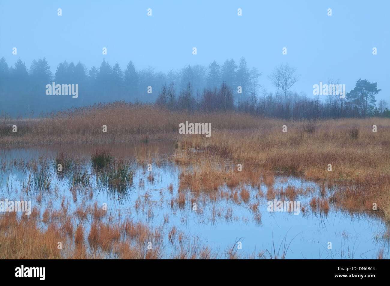 Mist weather hi-res stock photography and images - Alamy
