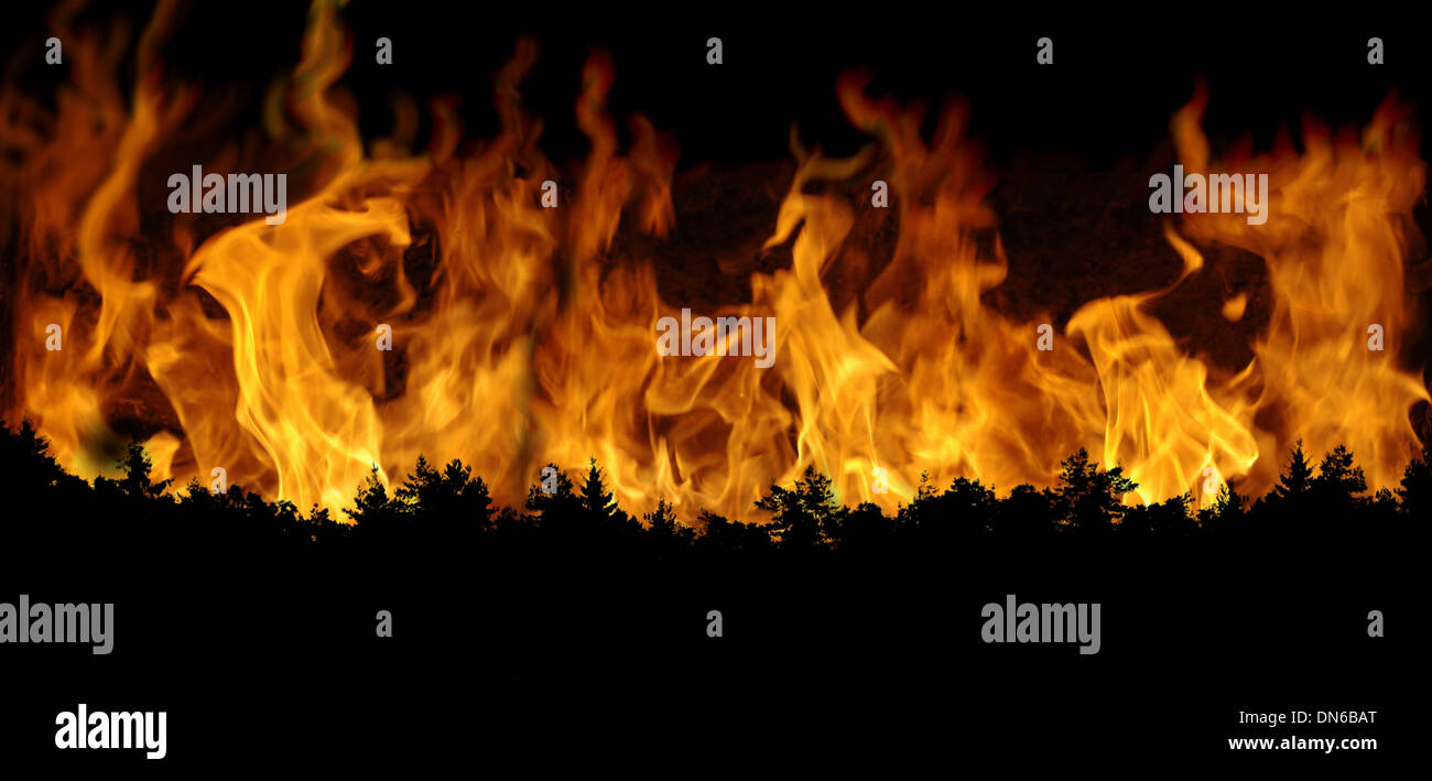 burning forest on fire background Stock Photo - Alamy