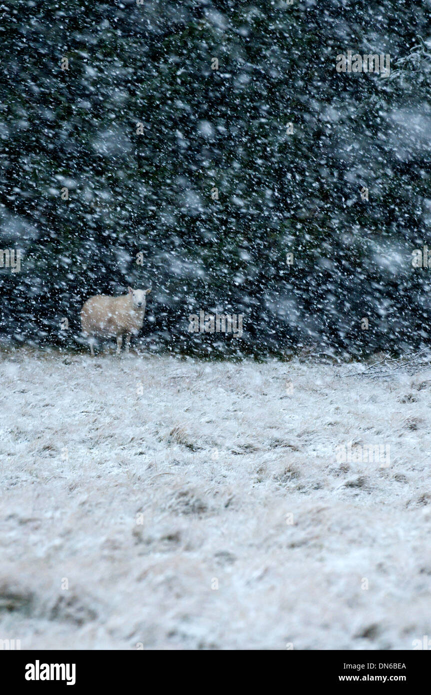 Mid december snow on hi-res stock photography and images - Alamy