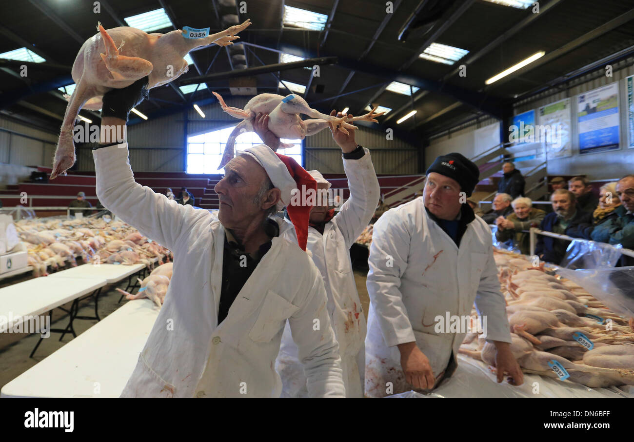 The auction christmas poultry including geese hi-res stock photography ...