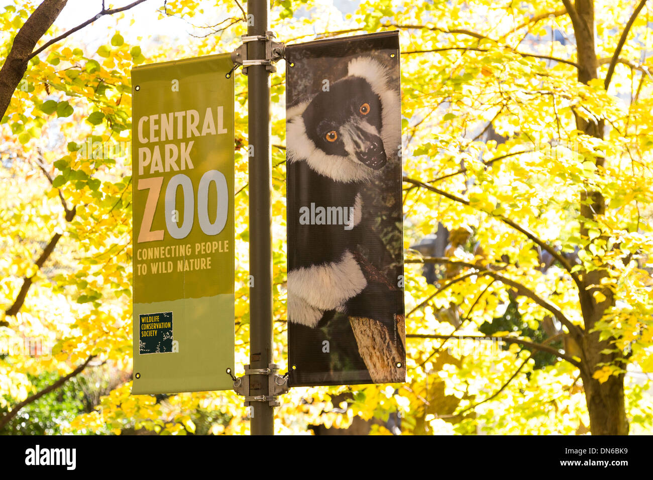 Lemur zoo sign hi-res stock photography and images - Alamy
