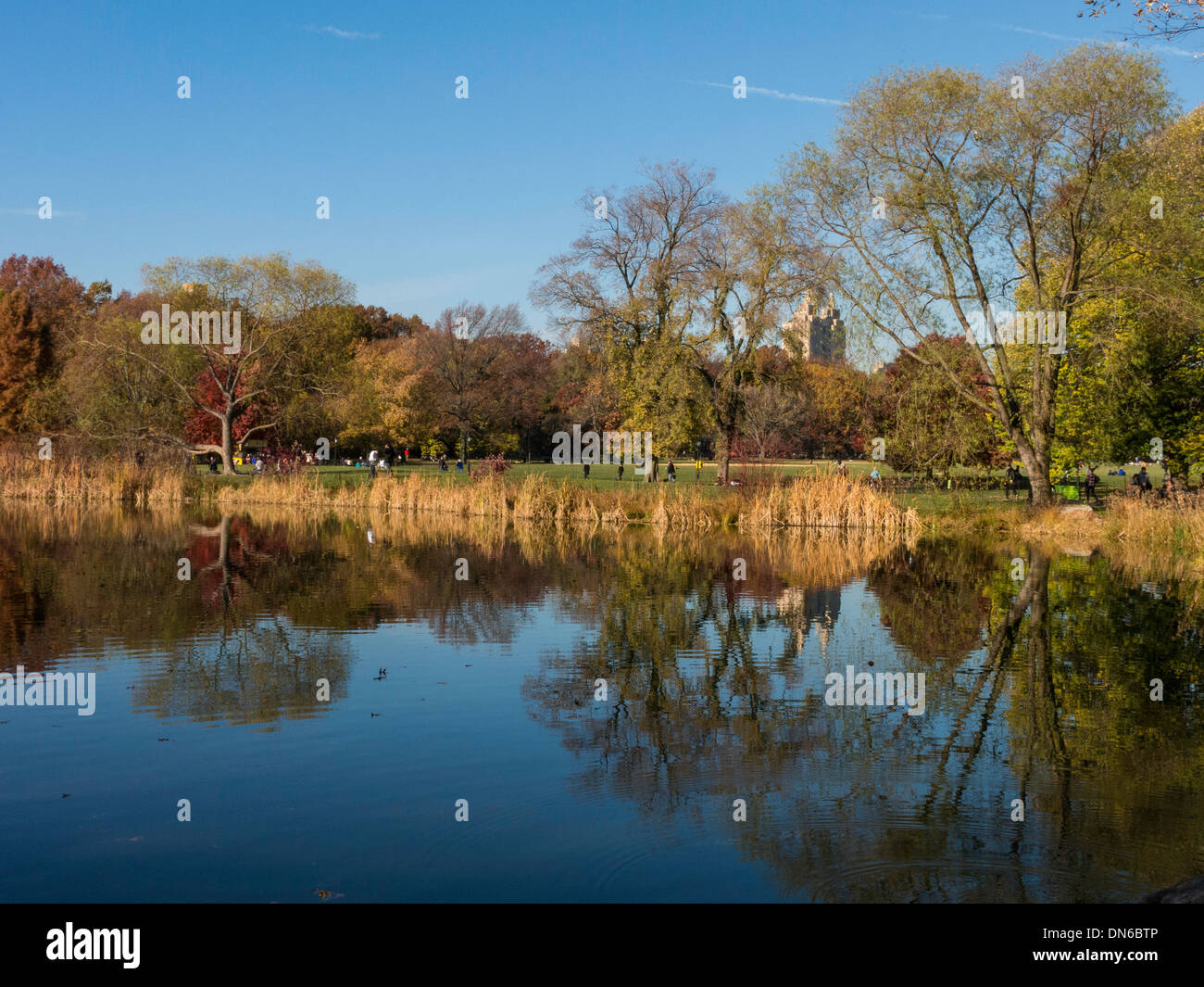 Turtle Pond, Central Park in Autumn, NYC Stock Photo - Alamy