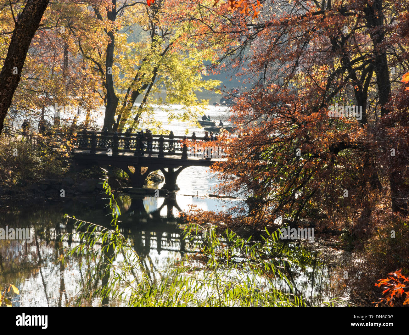 Oak Bridge at Bank Rock Bay, The Lake, Central Park, NYC Stock Photo ...