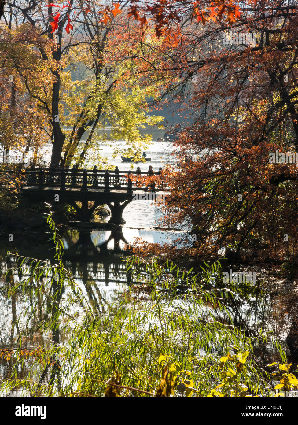 Oak Bridge at Bank Rock Bay, The Lake, Central Park, NYC Stock Photo ...