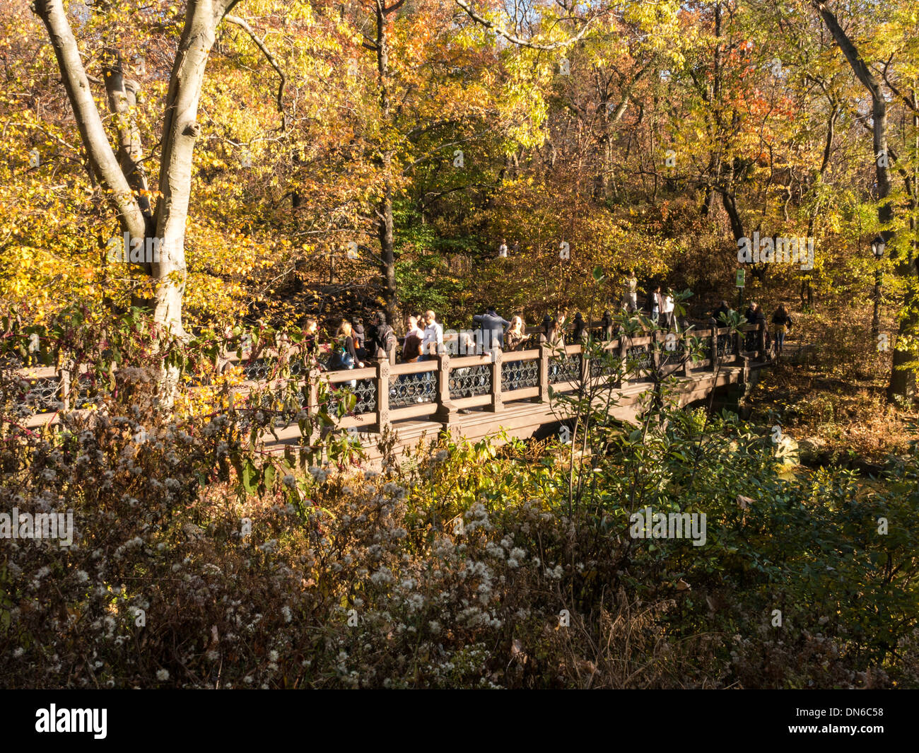 Oak Bridge at Bank Rock Bay, The Lake, Central Park, NYC Stock Photo ...
