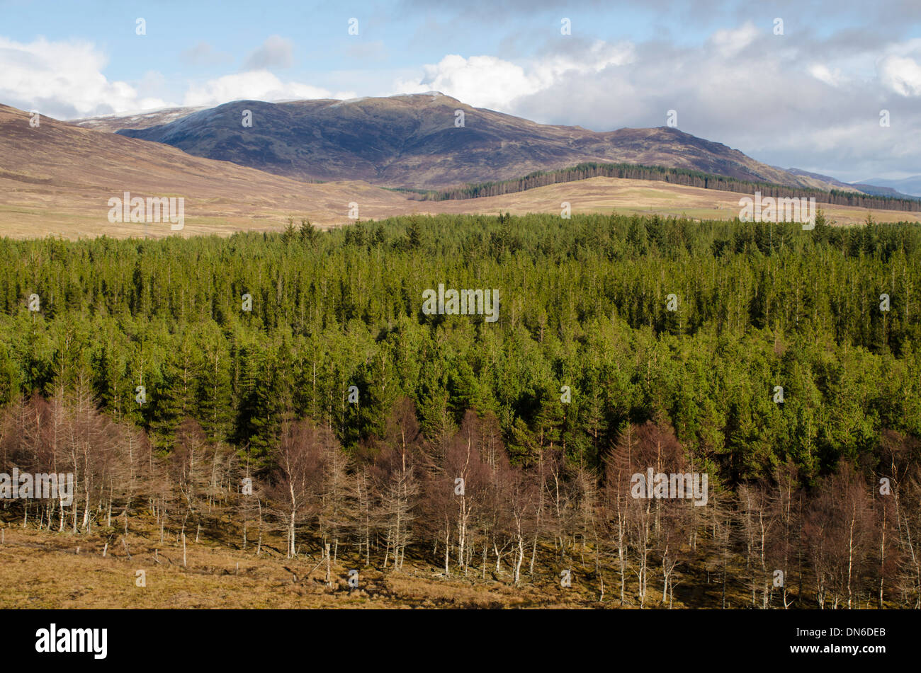 Forestry commision hi-res stock photography and images - Alamy