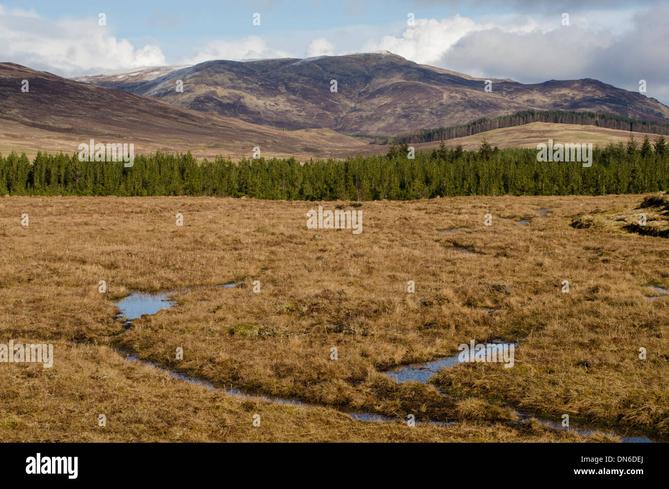 Forestry scotland hi-res stock photography and images - Alamy