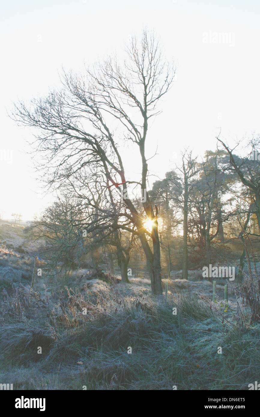 Winter sun sunshine hi-res stock photography and images - Alamy