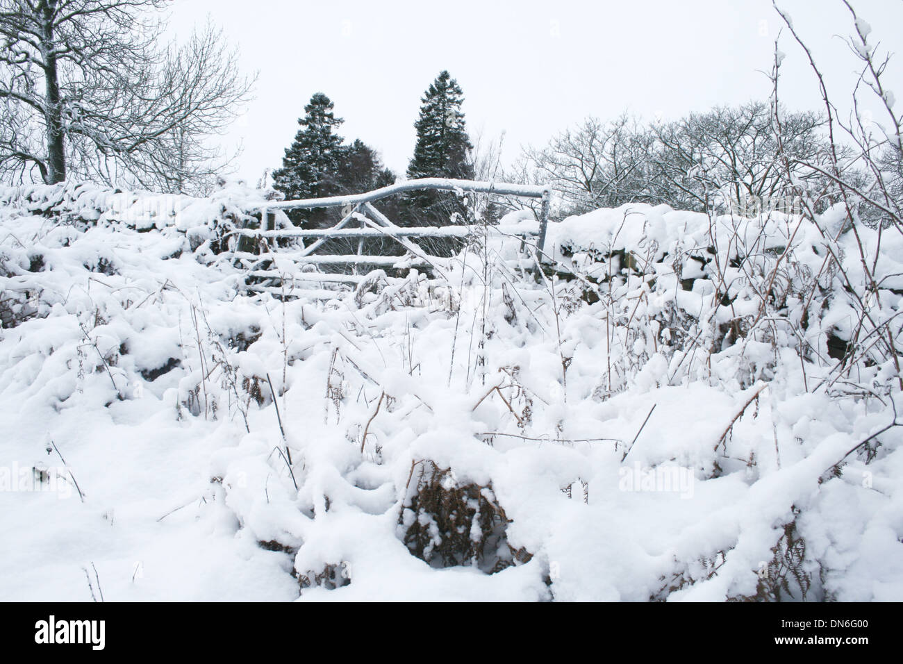 Snowy gate hi-res stock photography and images - Alamy