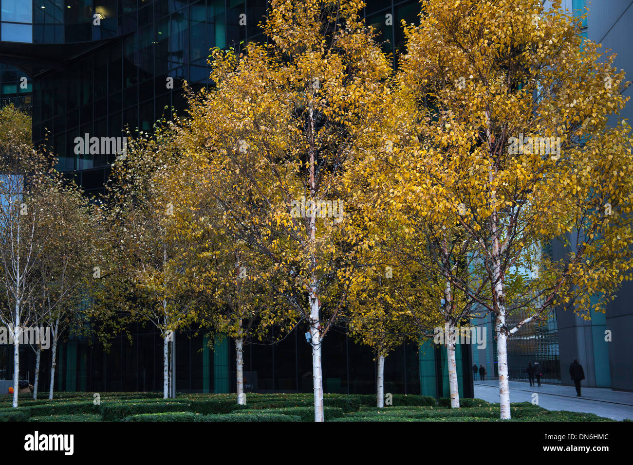 London Trees High Resolution Stock Photography and Images - Alamy