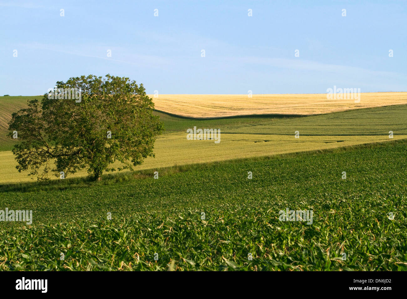 French agriculture hi-res stock photography and images - Alamy