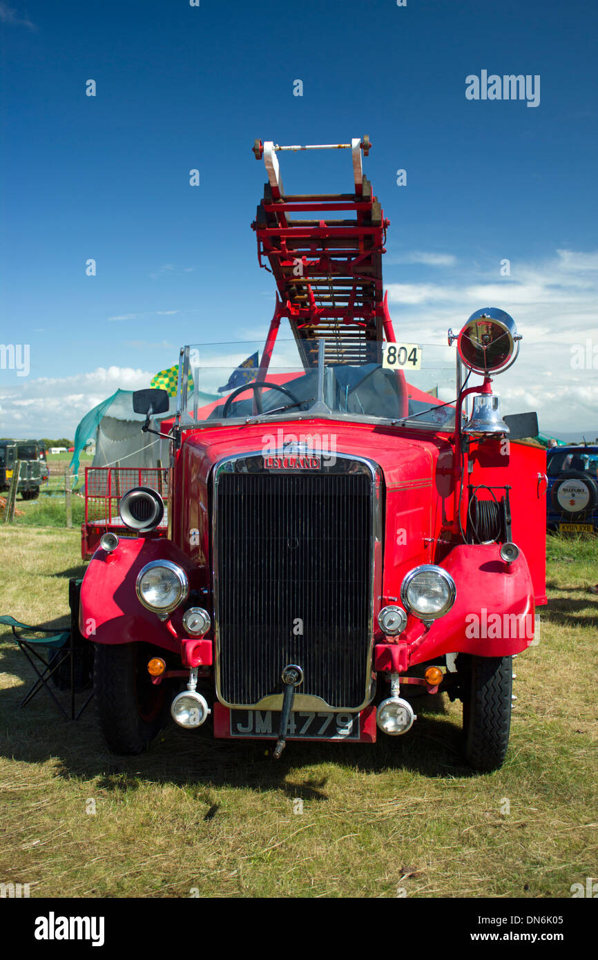 Leyland Cub High Resolution Stock Photography and Images - Alamy