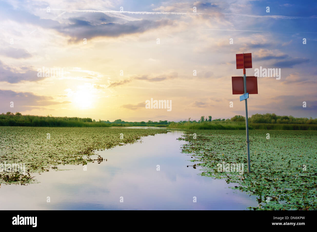 Boat path surrounded by plants at lake Tisza, Hungary Stock Photo - Alamy