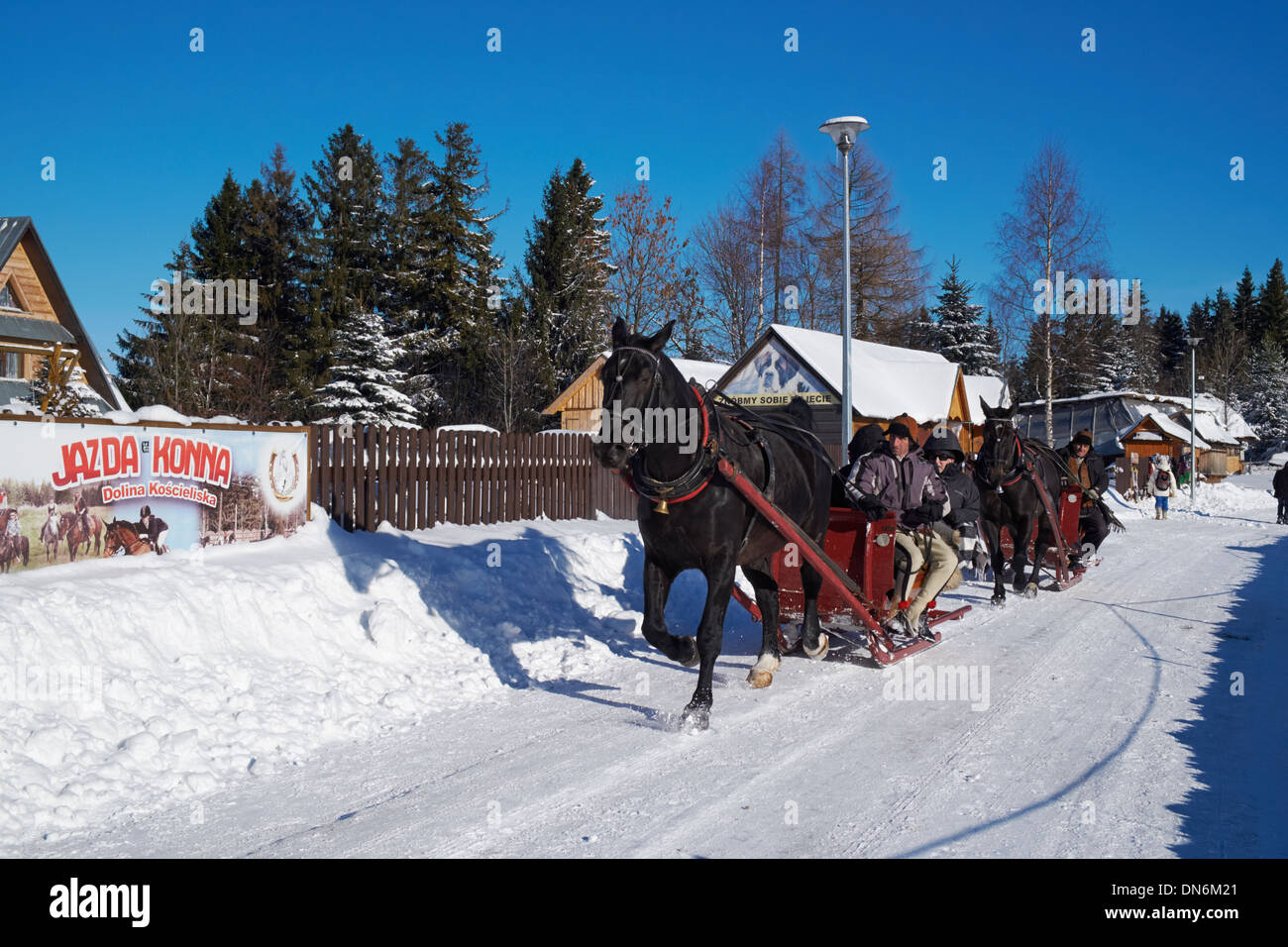 Zakopane poland winter sleigh hi-res stock photography and images - Alamy