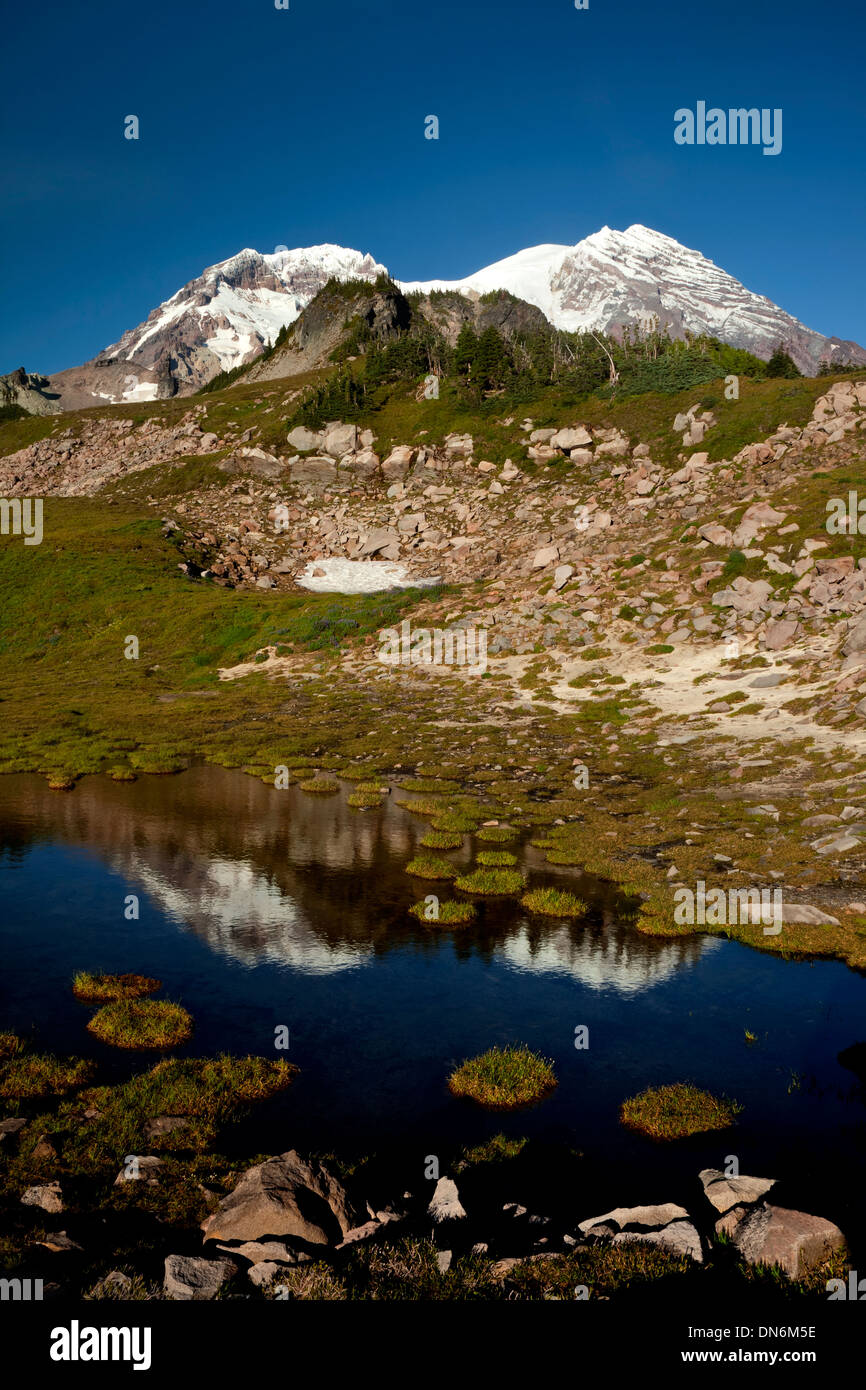Alpine zone pond hi-res stock photography and images - Alamy