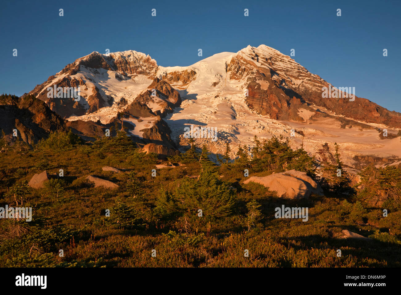 WASHINGTON - Sunset on Mount Rainier from the Tokaloo Alpine Zone of ...