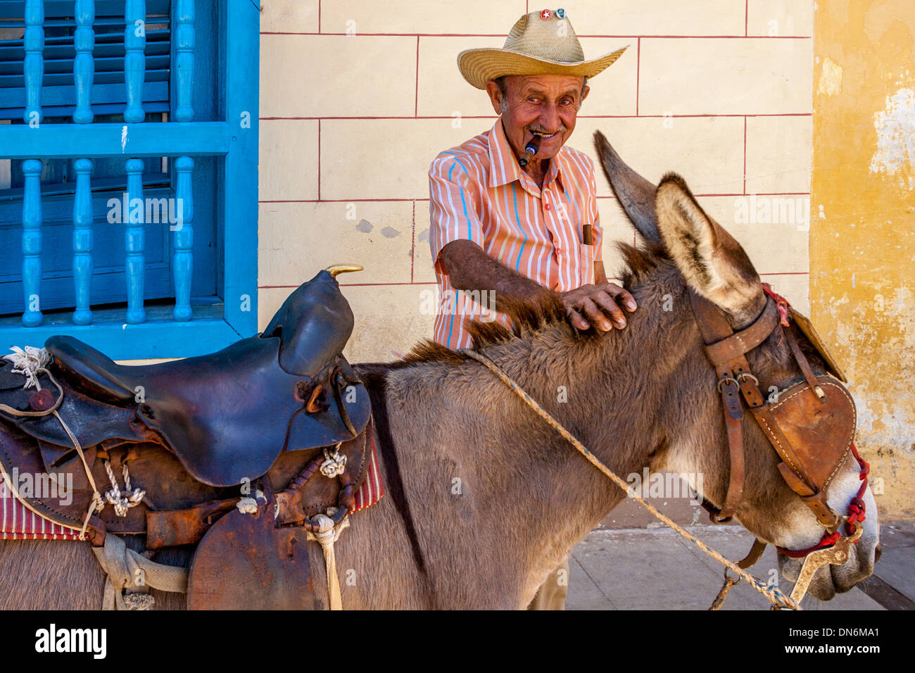 Cuban donkey hi-res stock photography and images - Alamy
