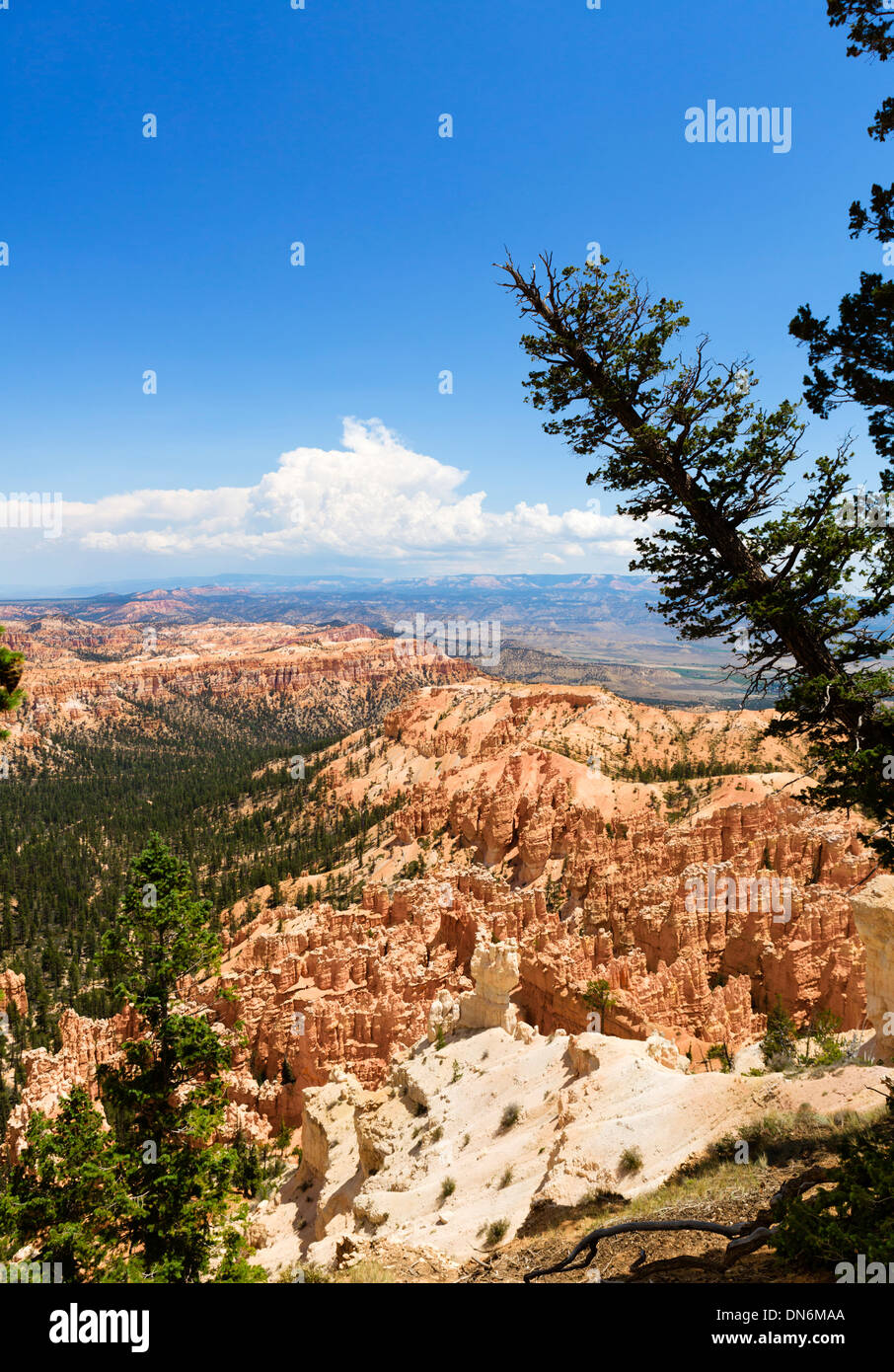 From bryce point hi-res stock photography and images - Alamy