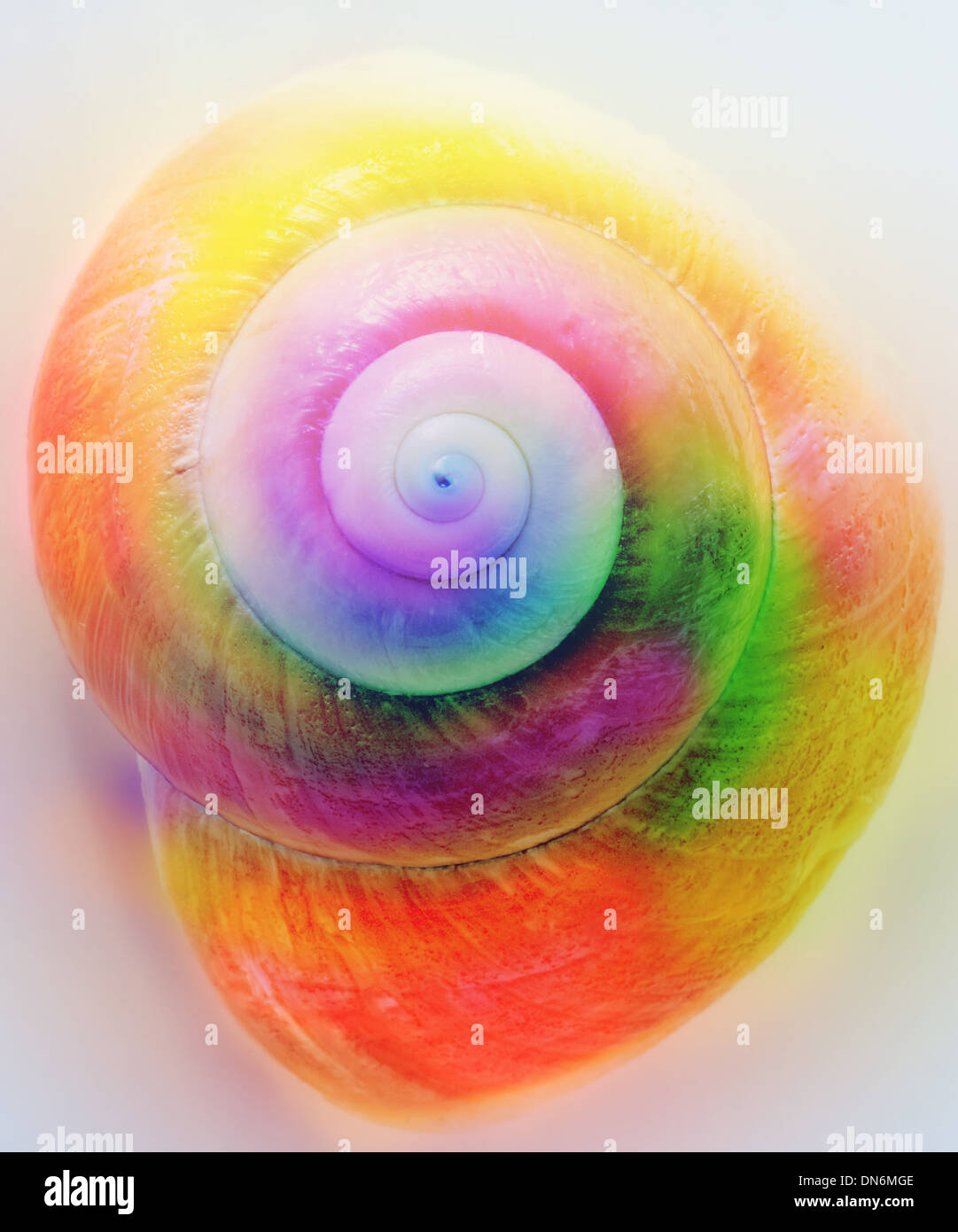 Cockleshell hi-res stock photography and images - Alamy