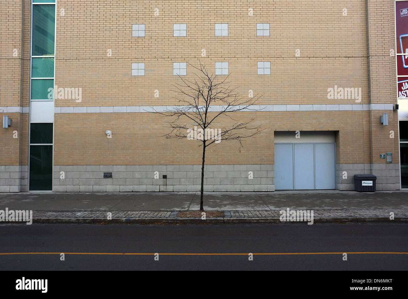 A small tree growing from the pavement in an urban area Stock Photo - Alamy