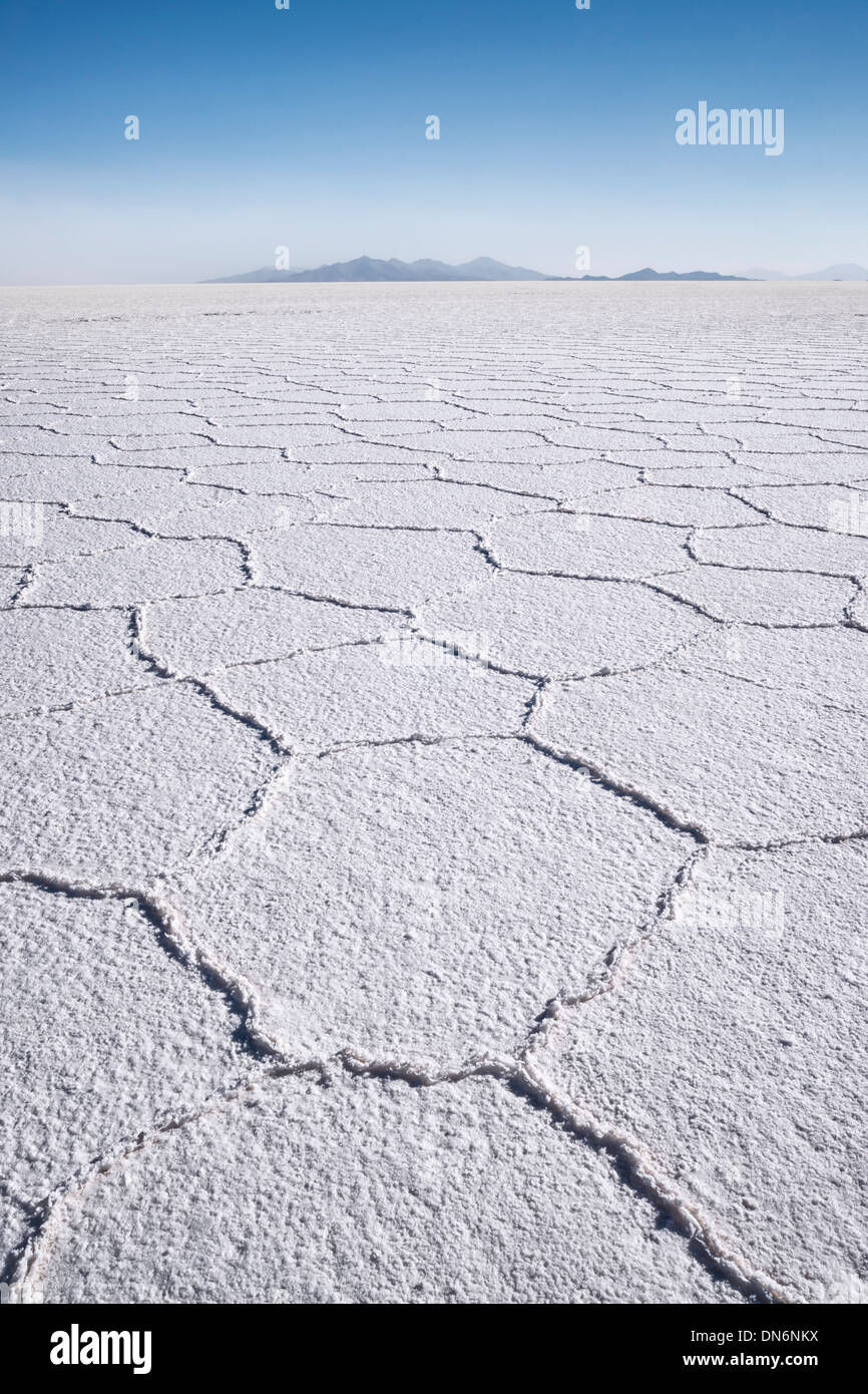 Hexagonal shaped salt flats, polygonal lines of raised salt created ...