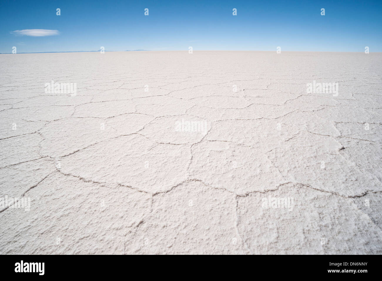 Hexagonal shaped salt flats, polygonal lines of raised salt created ...