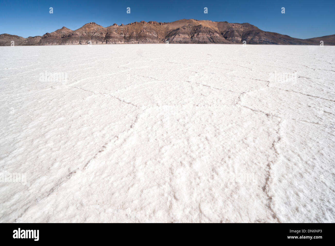 Hexagonal shaped salt flats, polygonal lines of raised salt created ...