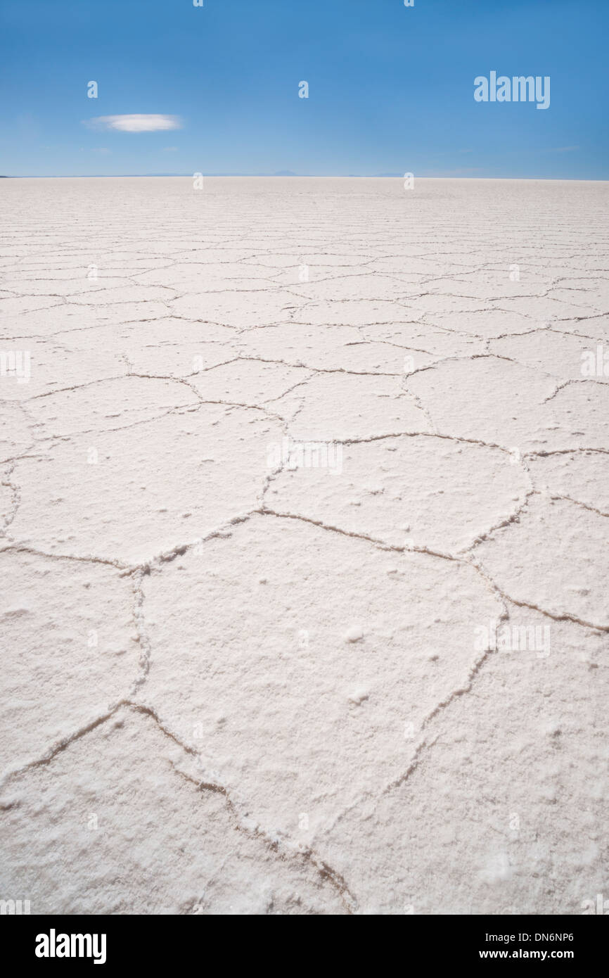 Hexagonal shaped salt flats, polygonal lines of raised salt created ...