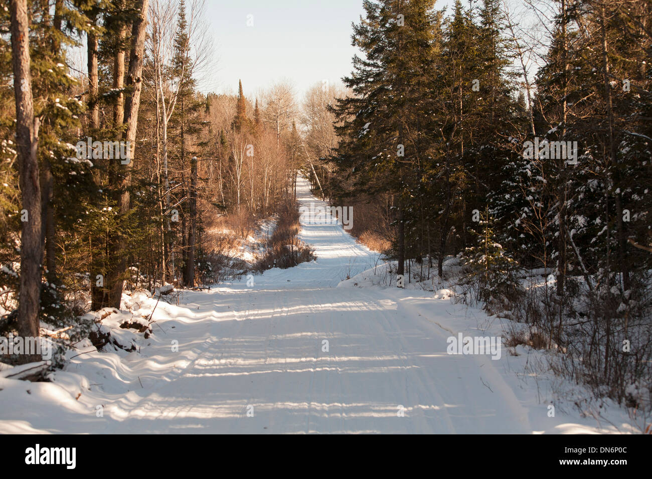 Snowmobile trail through the woods Stock Photo - Alamy