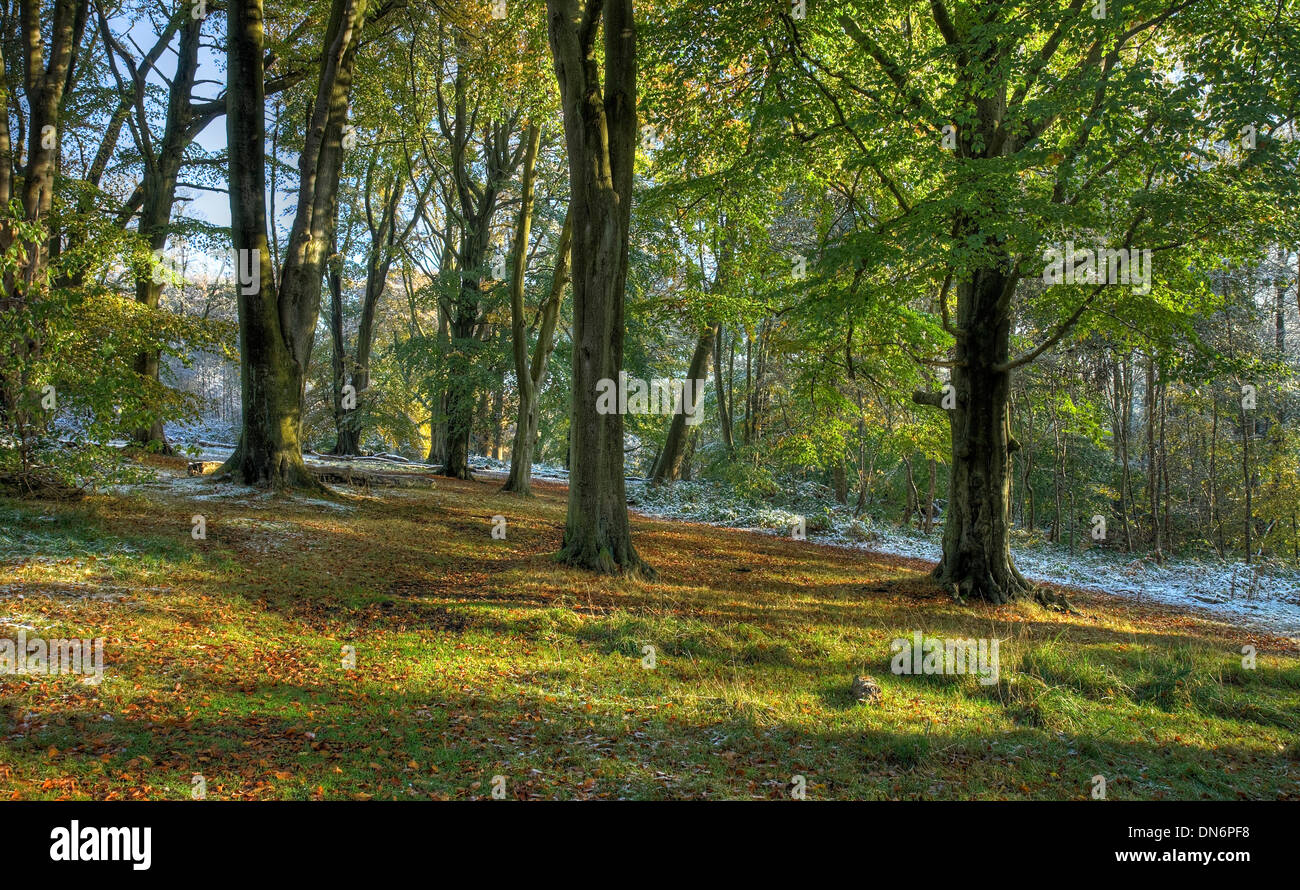 Seasons in england hi-res stock photography and images - Alamy