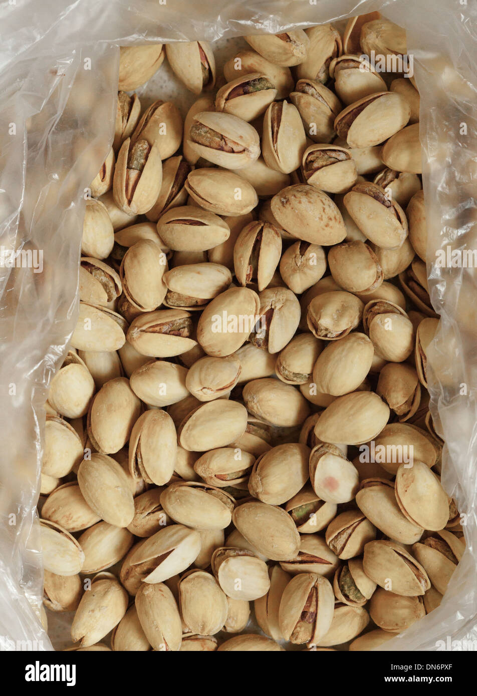 Closeup group of pistachios nuts in brown beige nutshells shells as ...
