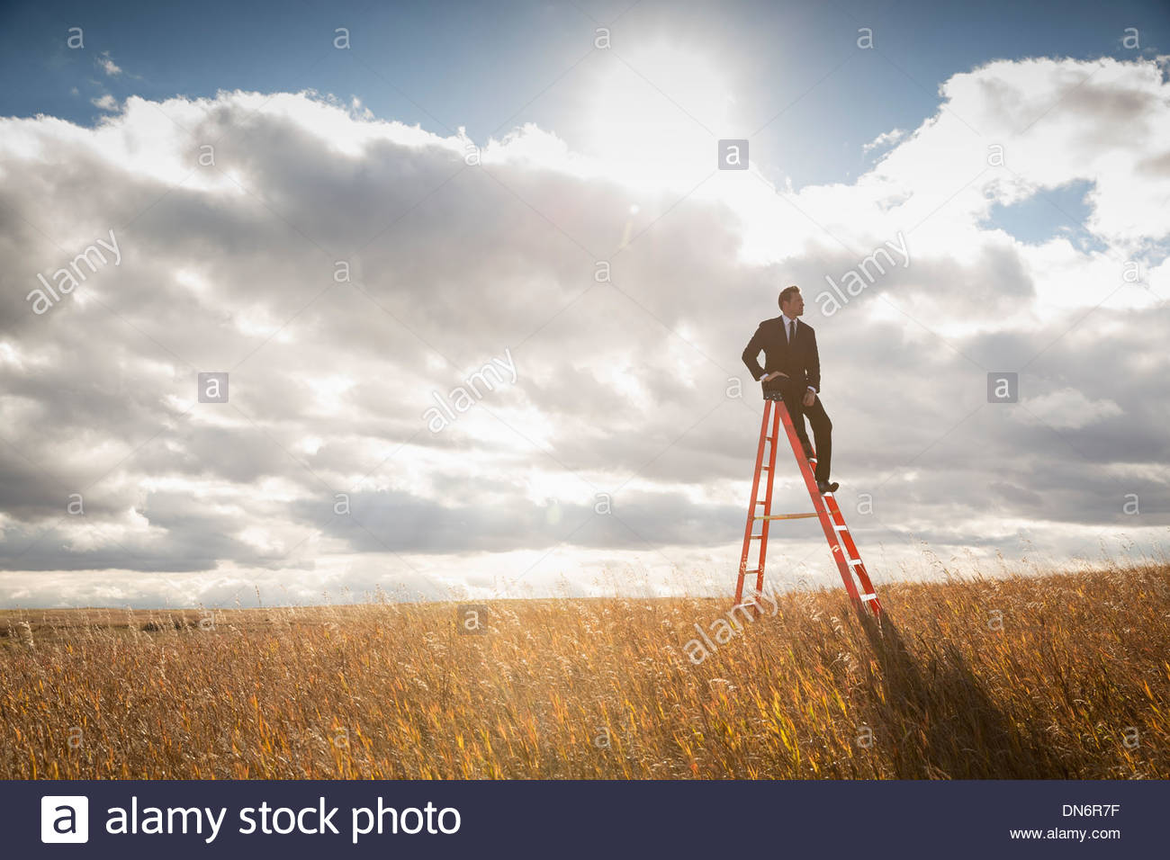 Sitting ladder hi-res stock photography and images - Alamy