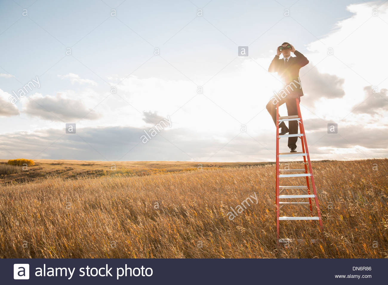 Professional ladder hi-res stock photography and images - Alamy