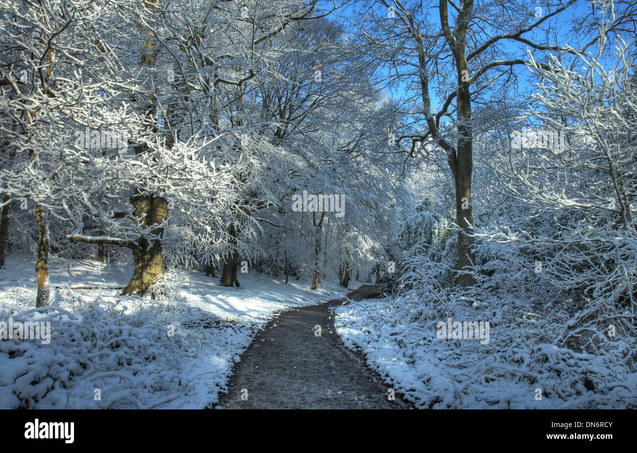 Snow woodland england hi-res stock photography and images - Alamy