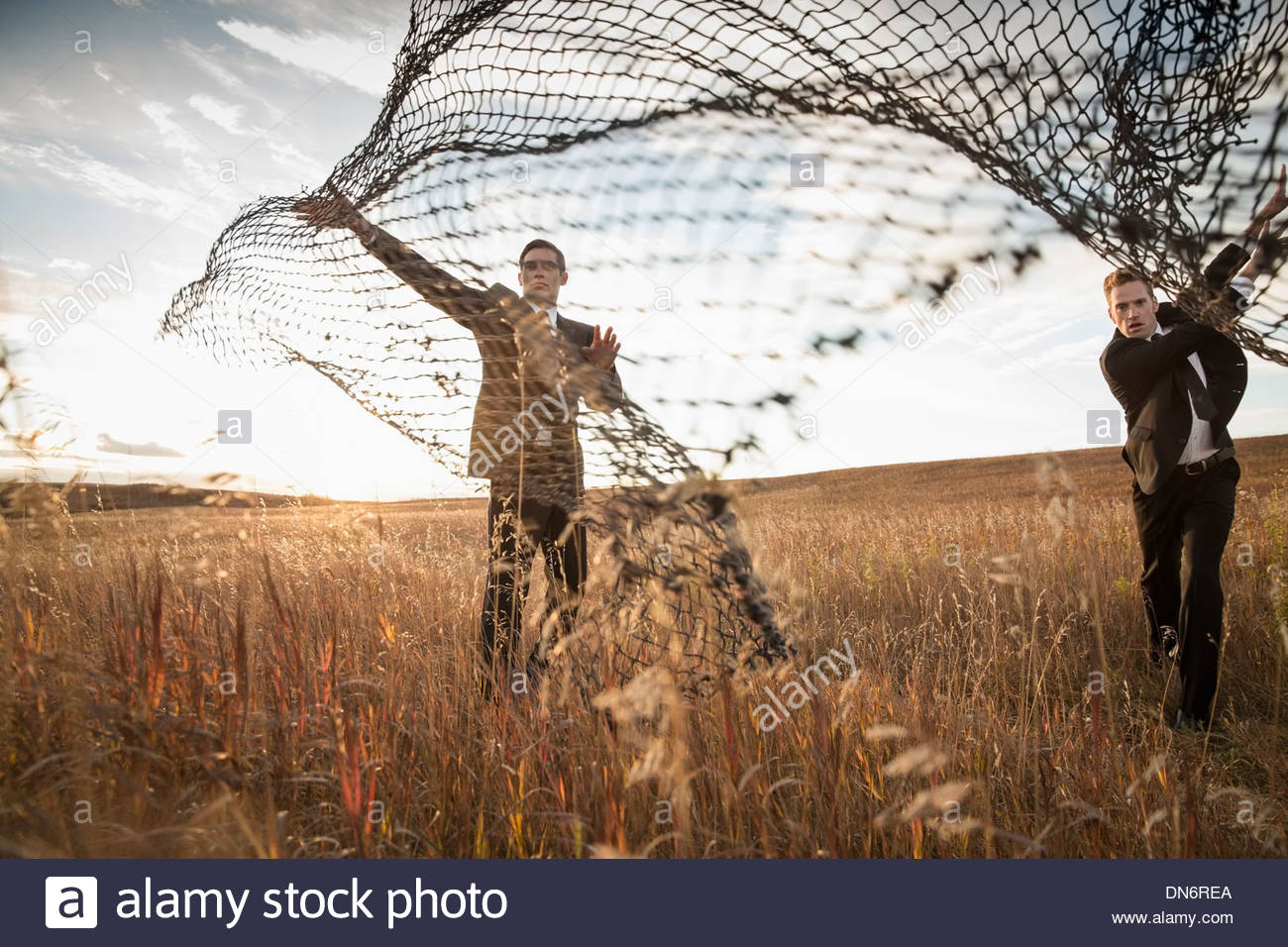 Net collar hi-res stock photography and images - Alamy