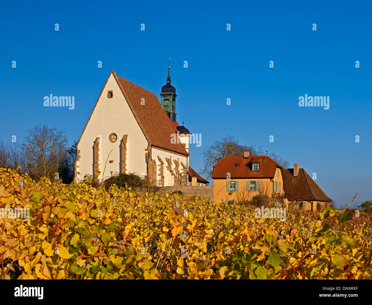 Church of Maria im Weingarten, Volkach on the Main, Lower Franconia ...