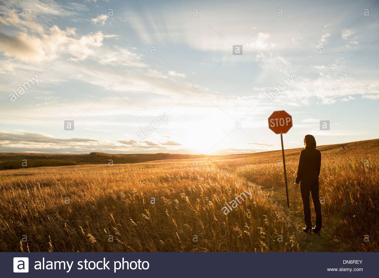 Full stop sign hi-res stock photography and images - Alamy