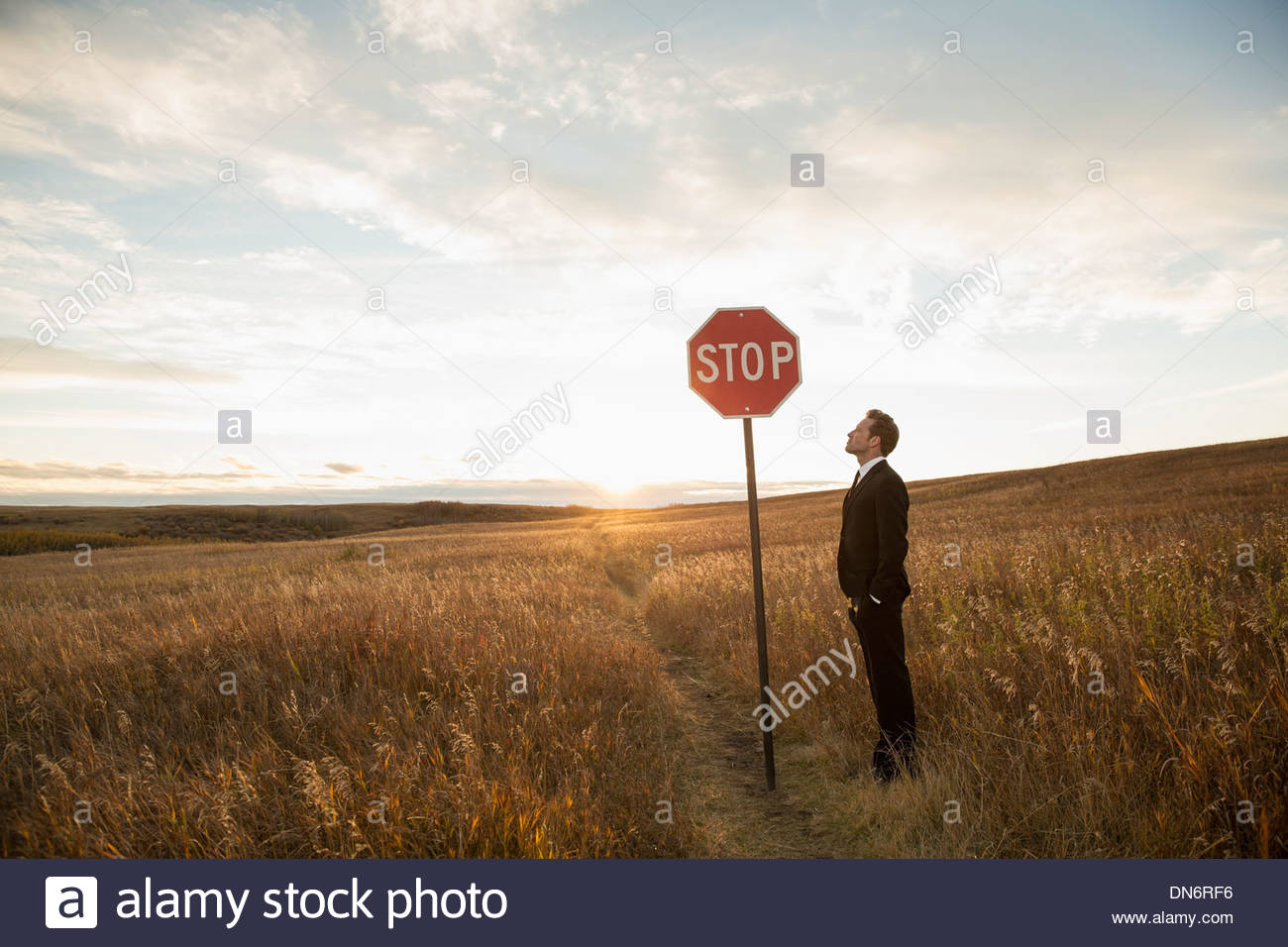 Full stop sign hi-res stock photography and images - Alamy