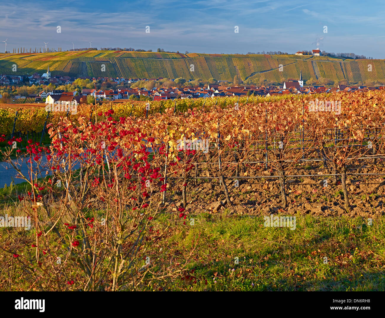 Nordheim and germany hi-res stock photography and images - Alamy