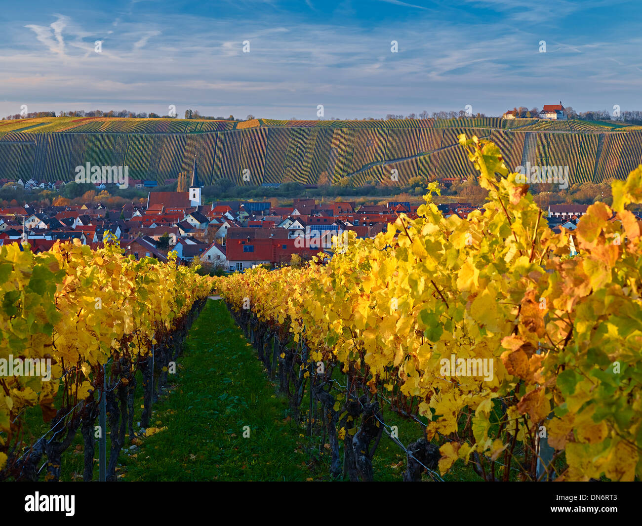 View over vineyards to Nordheim with Vogelsburg monastery at Volkach ...