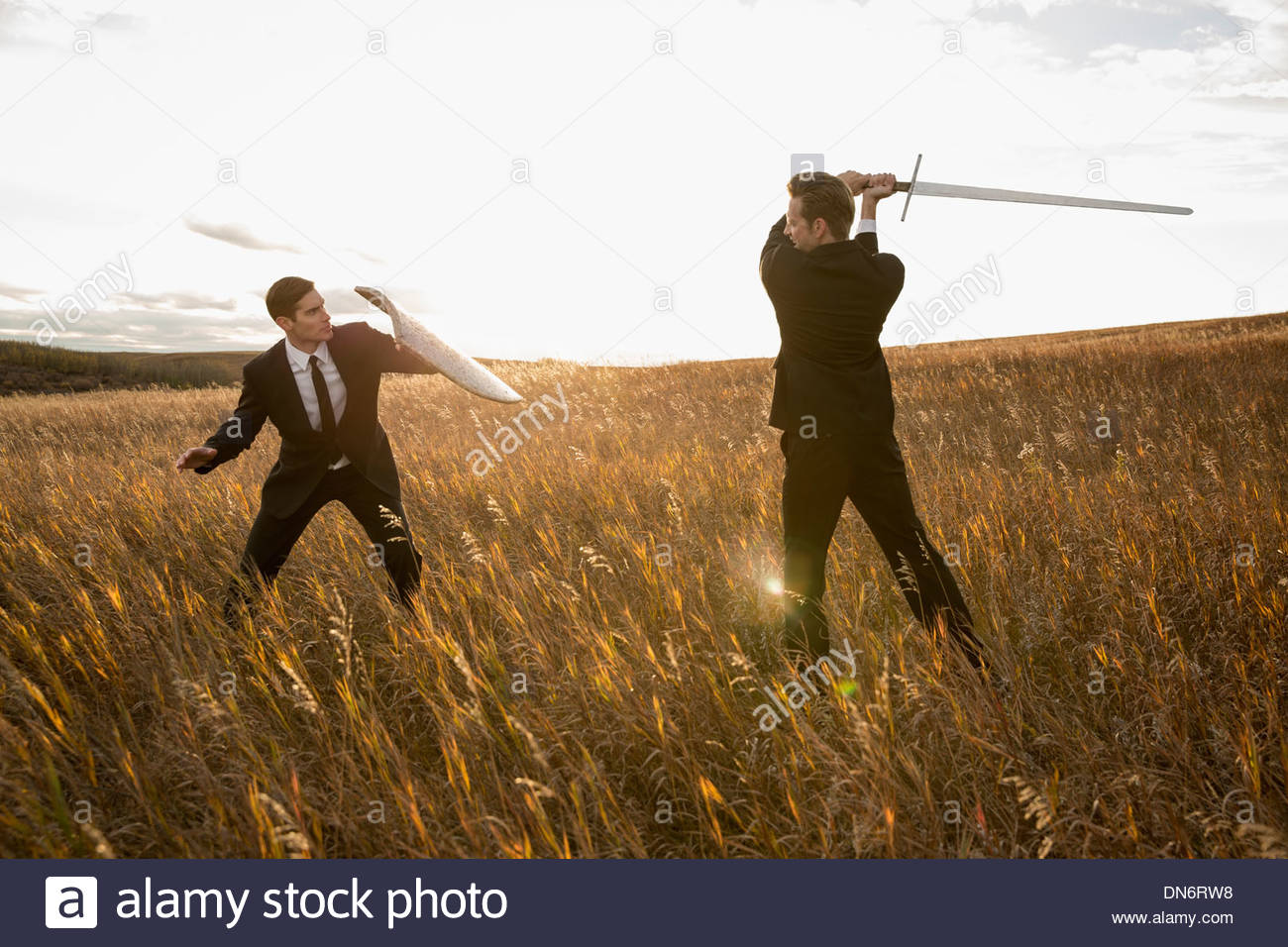 Professional fighting hi-res stock photography and images - Alamy